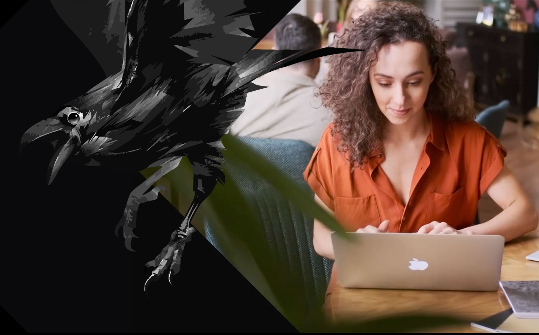 Raven - Xclaymation - Communication Consultancy